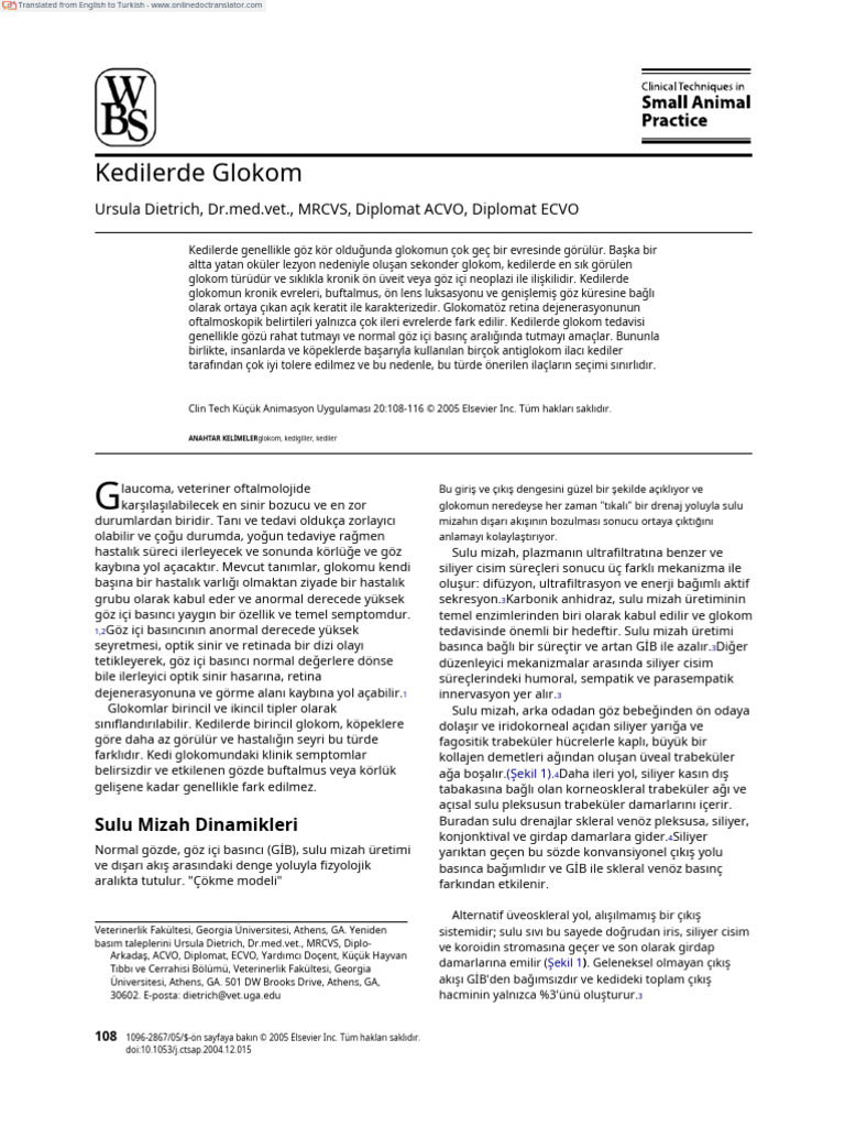 Feliine Glaucomas - En.tr | PDF
