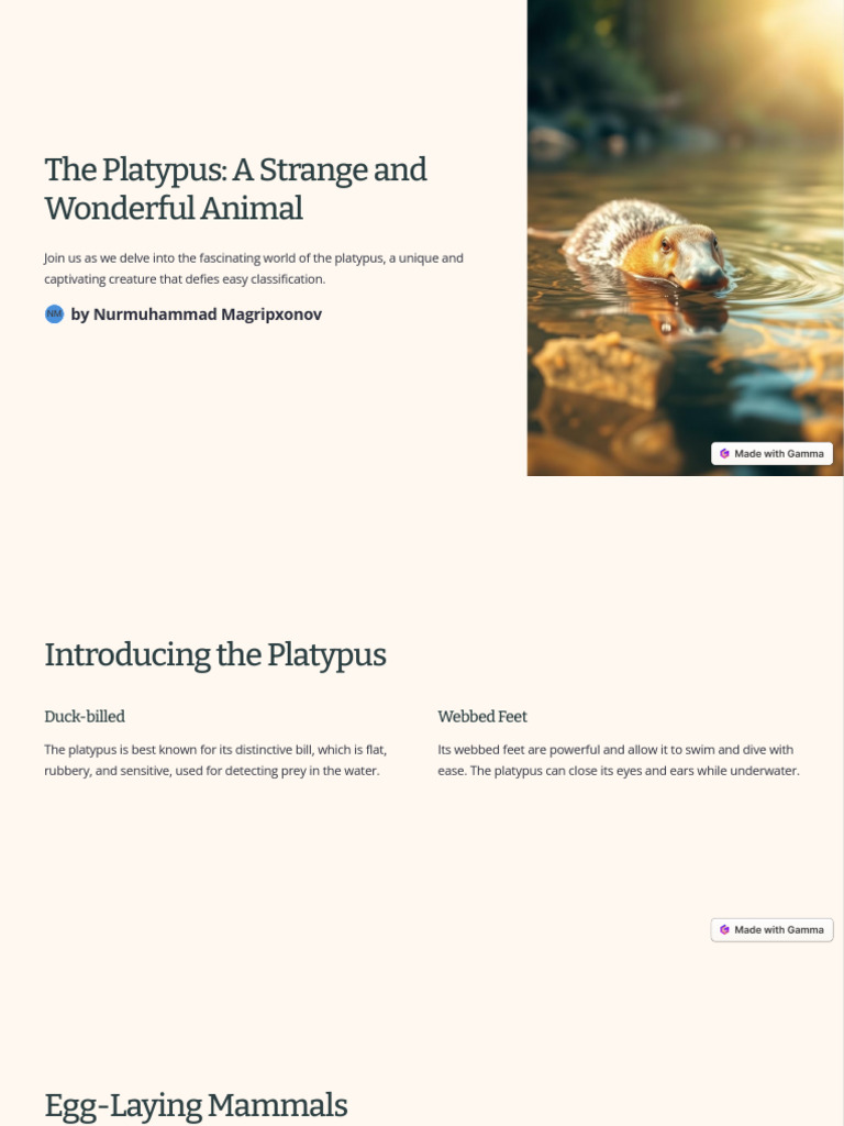The Platypus A Strange and Wonderful Animal | PDF | Zoology