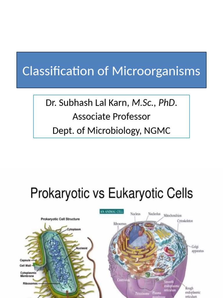 Microorganism Classification Guide | PDF
