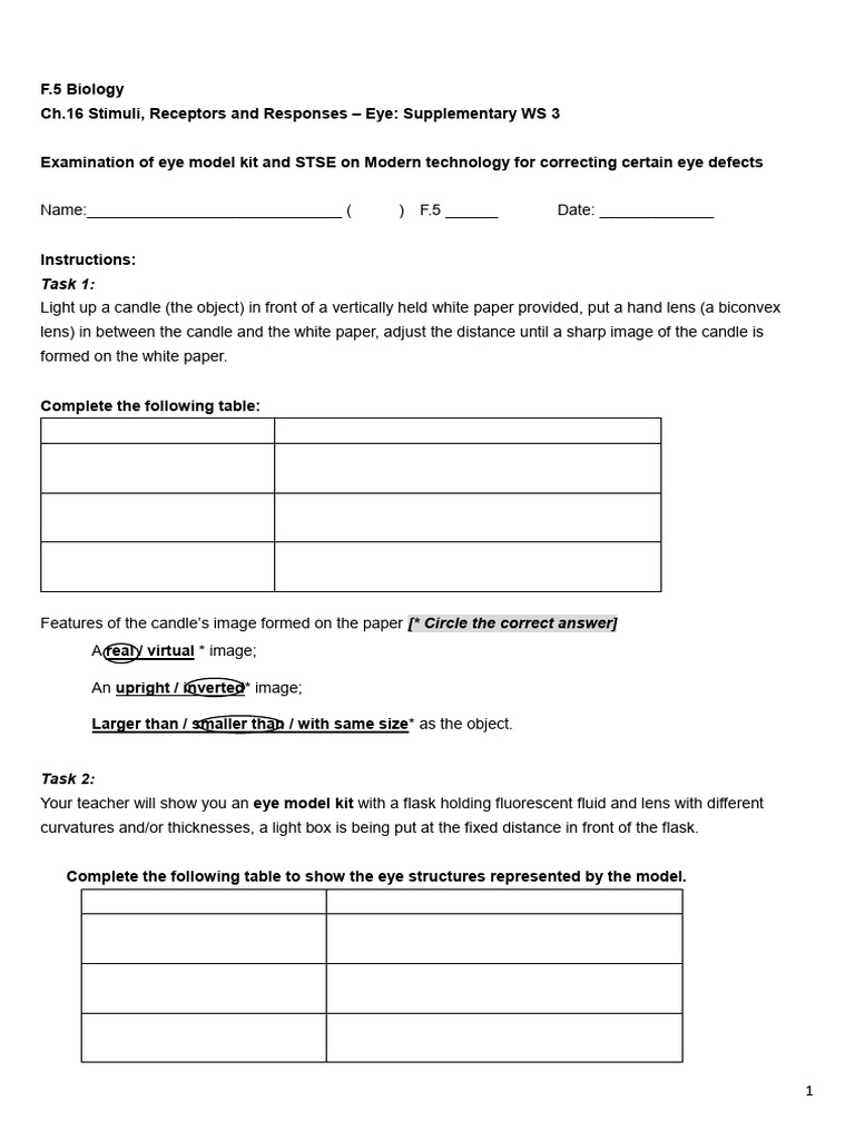 WS3 Eye defect+STSE Answers | PDF | Eye | Ophthalmology