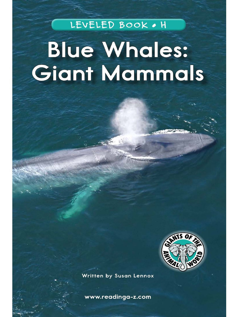 Blue Whales Giant Mammals | PDF