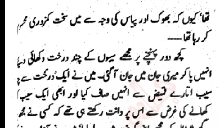 Umro Ayyar | PDF