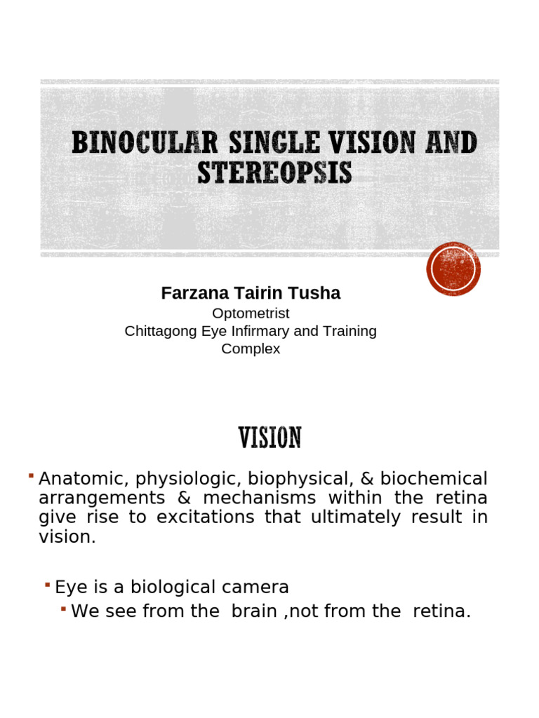 Understanding Binocular Vision Mechanics | PDF | Visual Perception ...