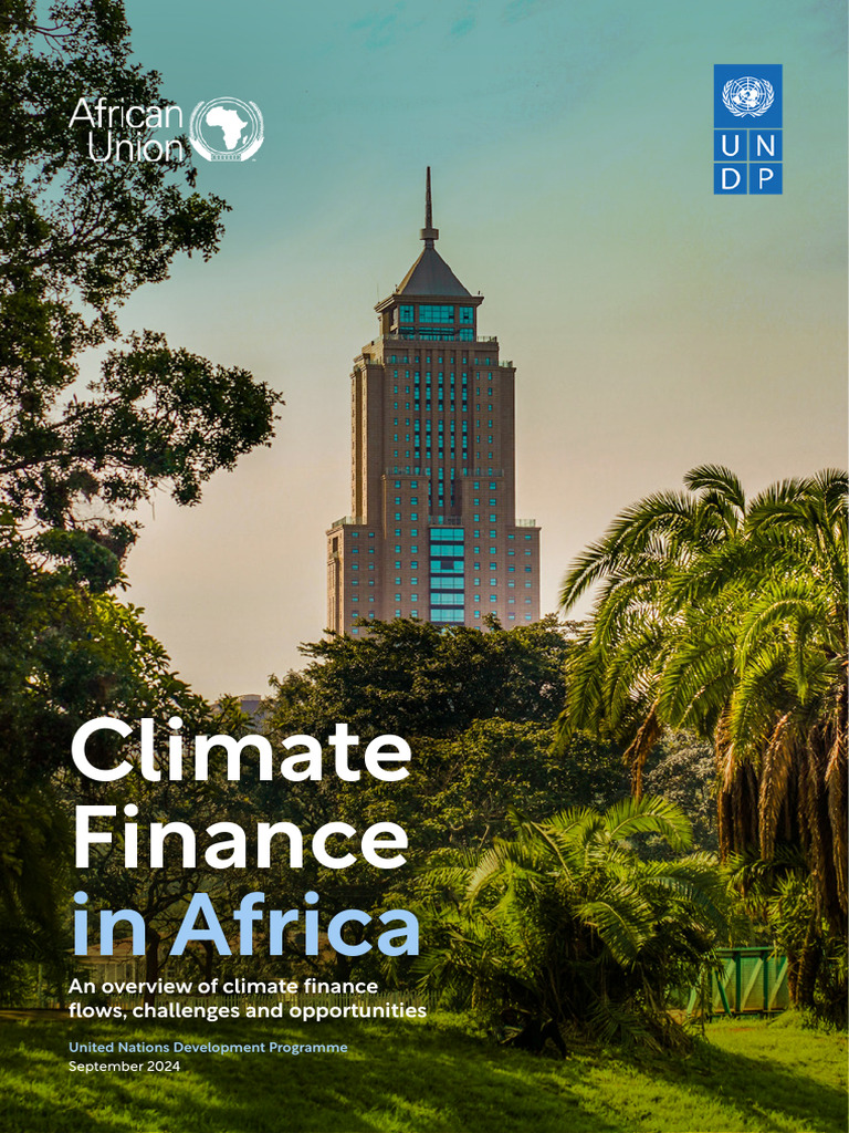 44101-Doc-Climate Finance in Africa Report | PDF | Climate Change | Africa