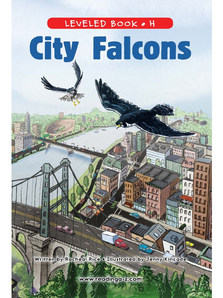 City Falcons | PDF