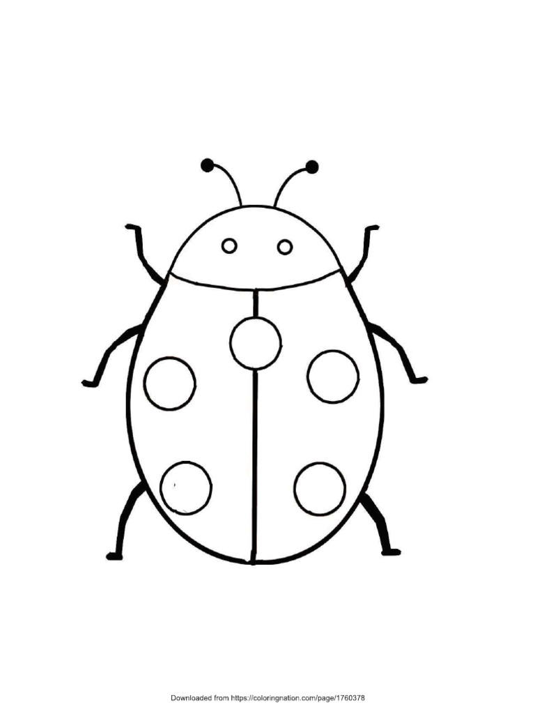 Coloring Bug | PDF
