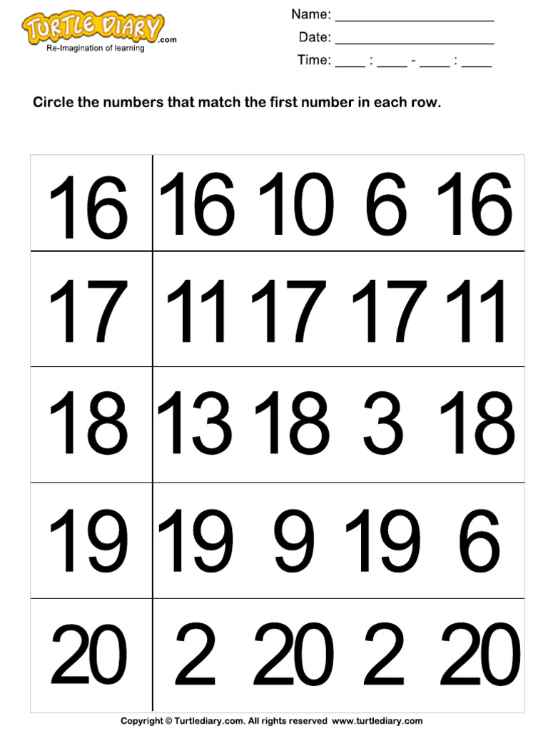Match Numbers Up To Twenty | PDF