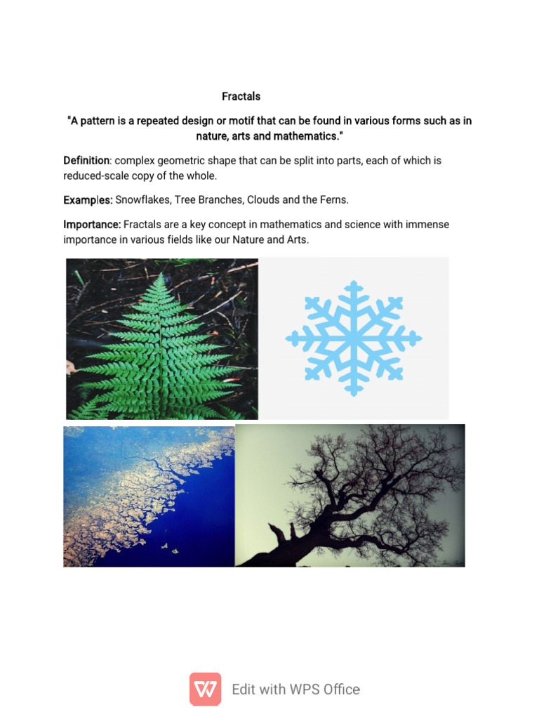 Understanding Fractals in Nature and Art | PDF