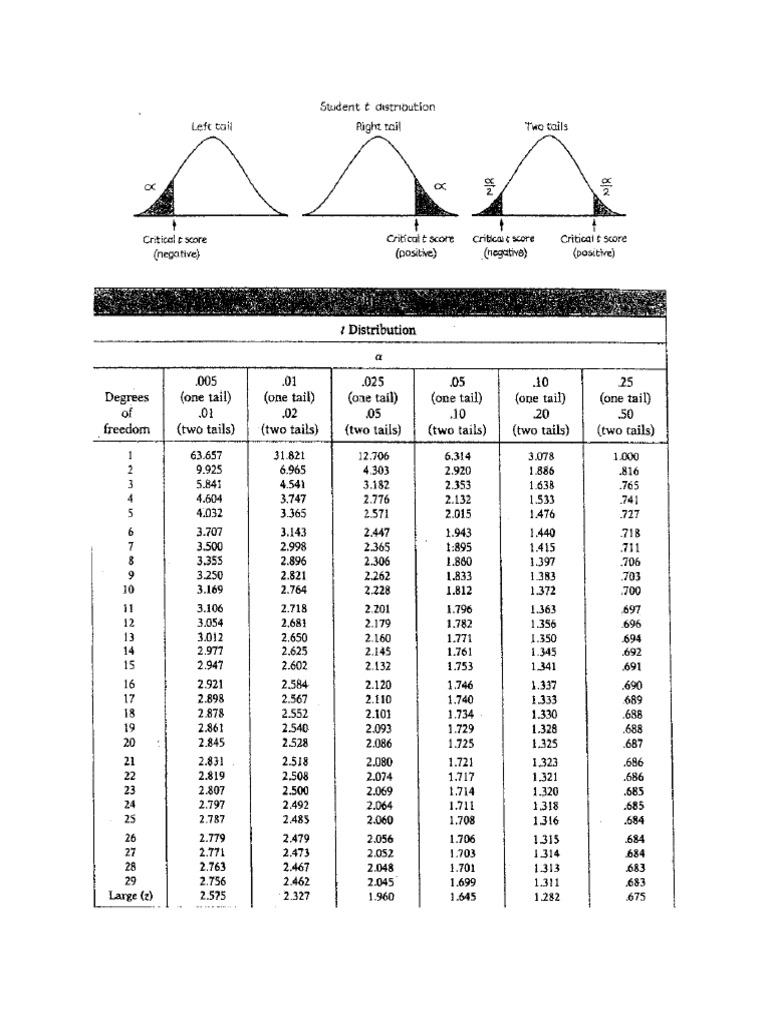 T Distribution Table | PDF
