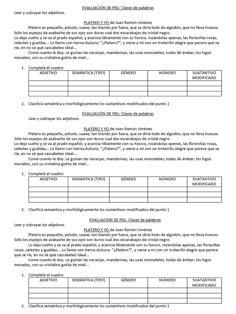 Evaluación CLASES DE PALABRAS 2024 T1 | PDF | Unidades Semánticas | Semántica
