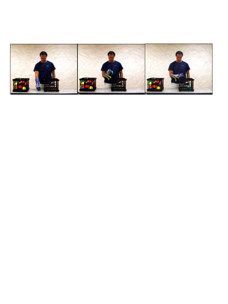 Elbow Flexion and Extension Medium | PDF