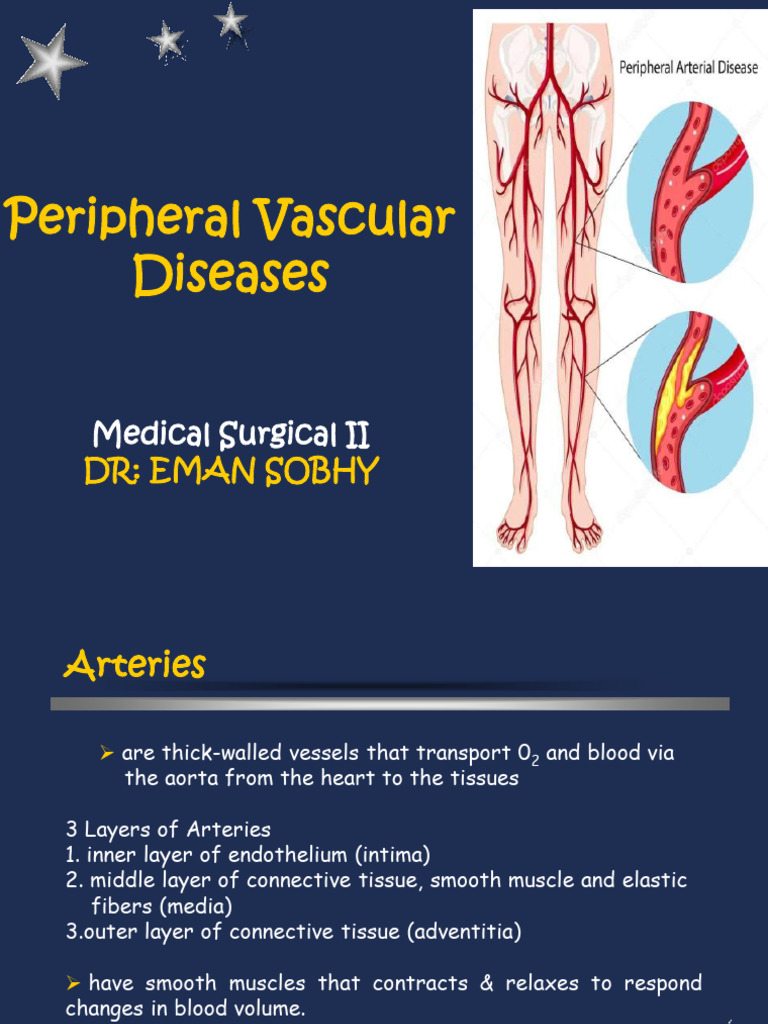 Peripheral Vascular Disorders Guide | PDF | Vein | Blood Vessel