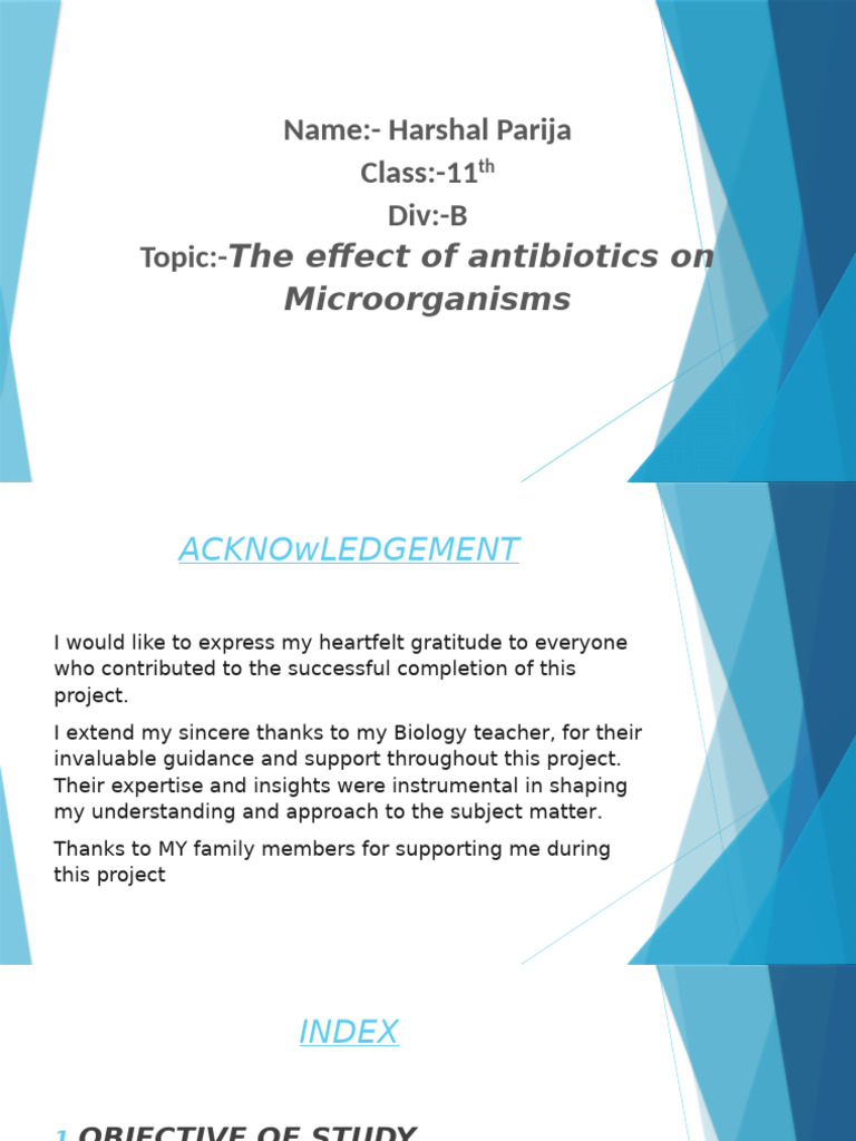 Biology Project | PDF | Bacteria | Antimicrobial Resistance
