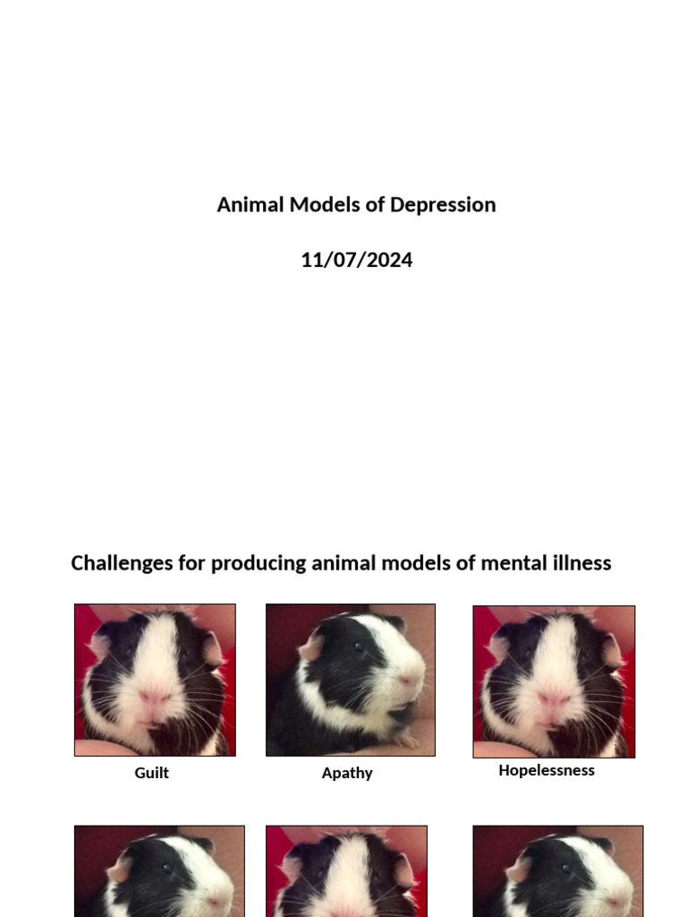 Challenges in Animal Models of Depression | PDF | Major Depressive ...