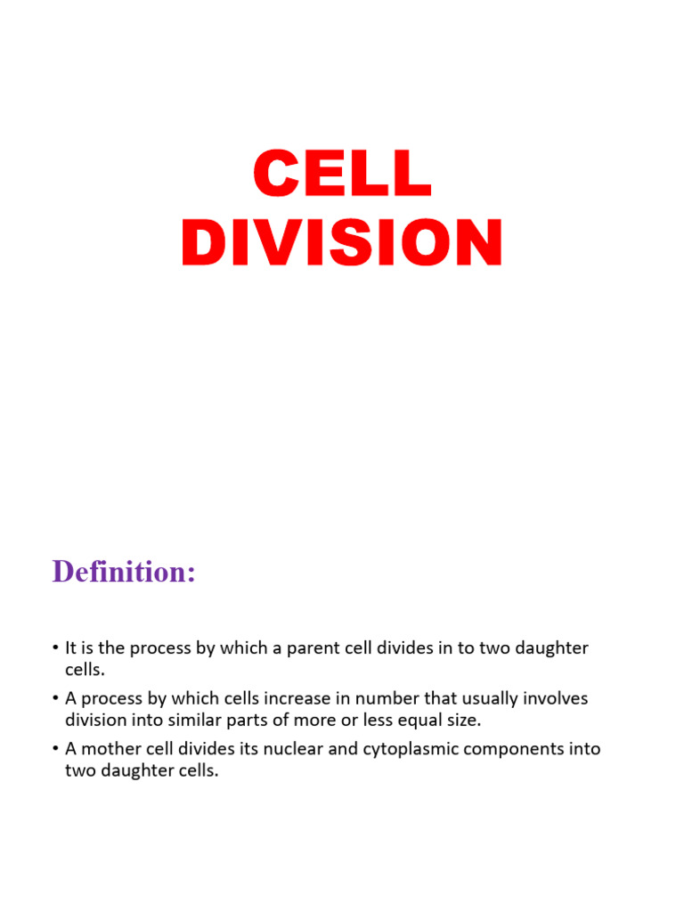 Cell Division | PDF
