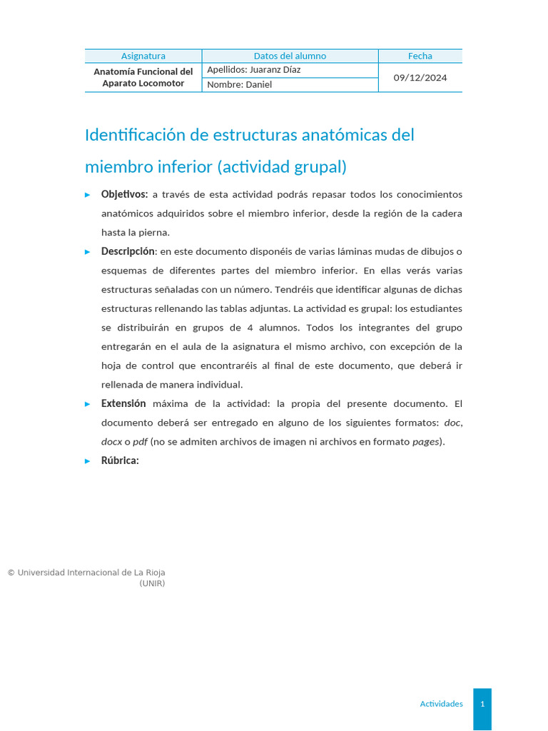 Actividad2 - Grupal - 2024 Daniel Juaranz | PDF | Rodilla | Articulaciones