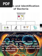 Api Rapid 20e | PDF | Organisms | Microbiology