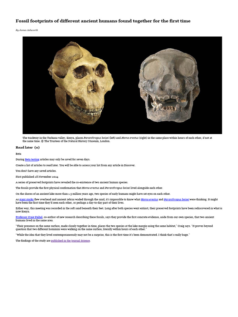 Fossil footprints of different ancient humans found together for the first time _ Natural ...