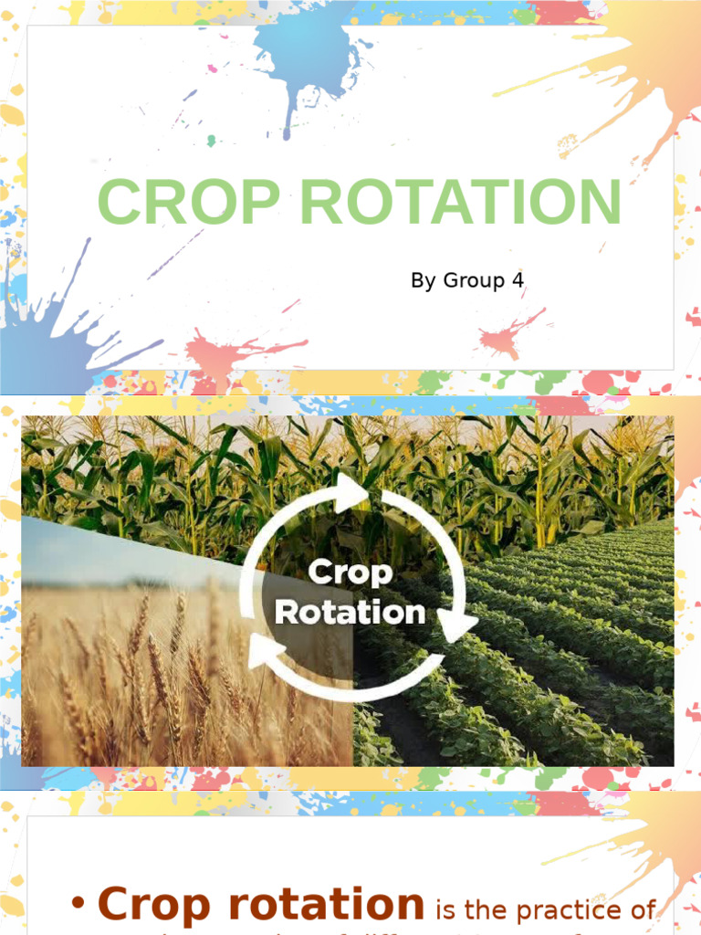 BSA 1I - Crop Rotation | PDF | Crop Rotation | Agriculture