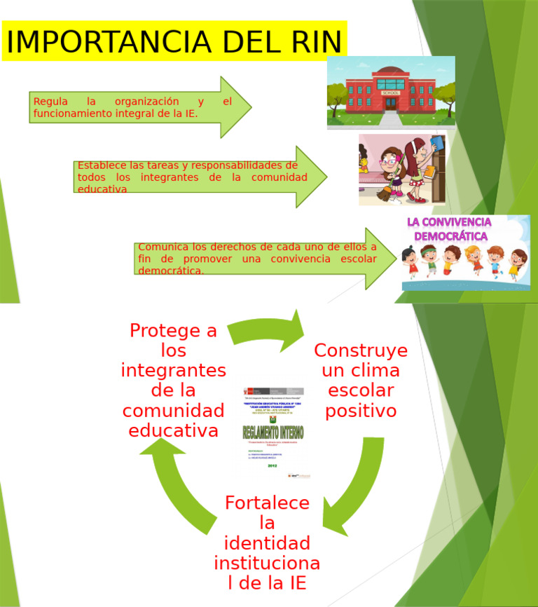 Importancia Del Rin | PDF