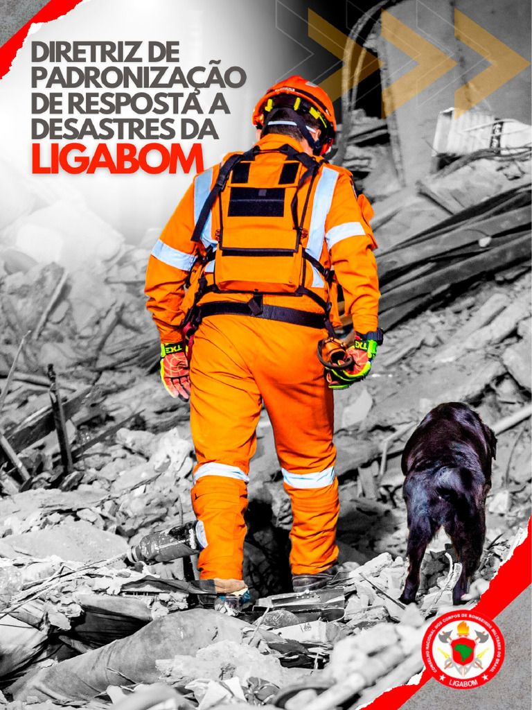 Diretriz Nacional de Resposta A Desastres - LIGABOM | PDF | Ciência militar | Estado