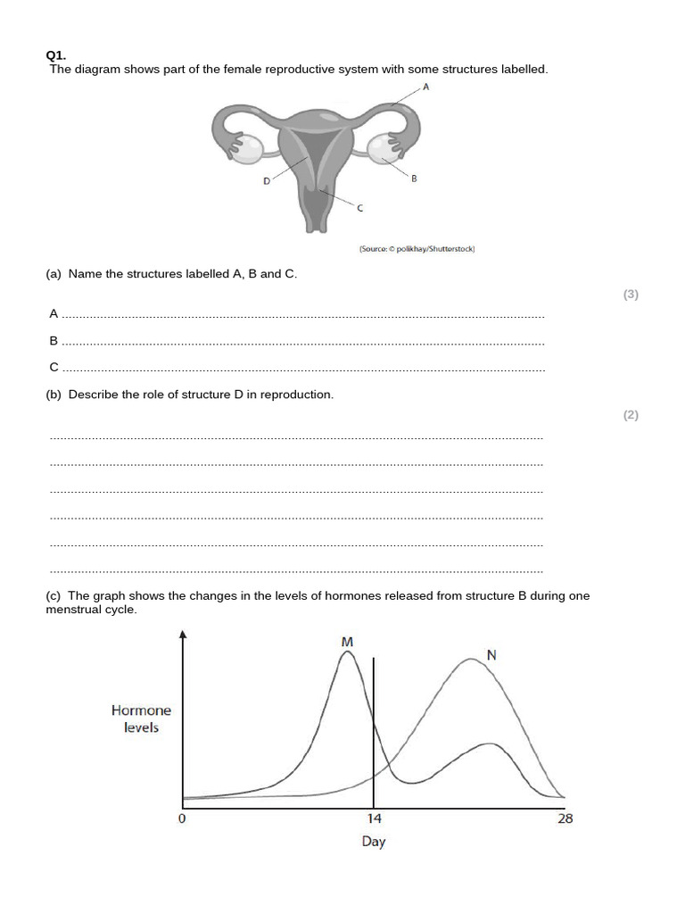 Hormonal Control of the Menstrual Cycle | PDF | Menstrual Cycle ...