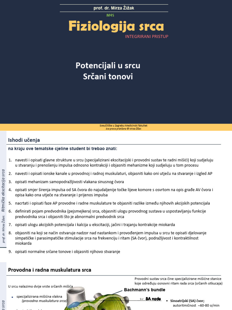 Ritmicna Ekscitacija Srca I Srcani Tonovi (Zizak) | PDF