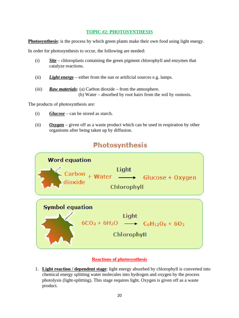 HSB Section A Topic 2-8351D | PDF | Photosynthesis | Leaf