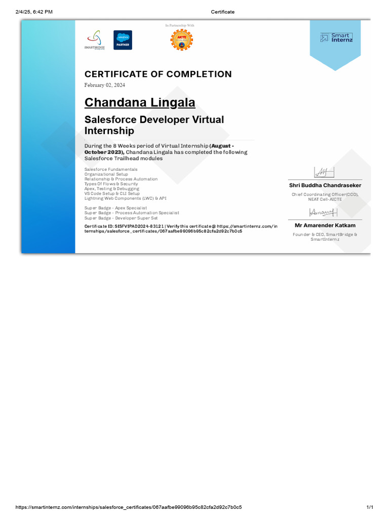 SALESFORCE Certificate | PDF