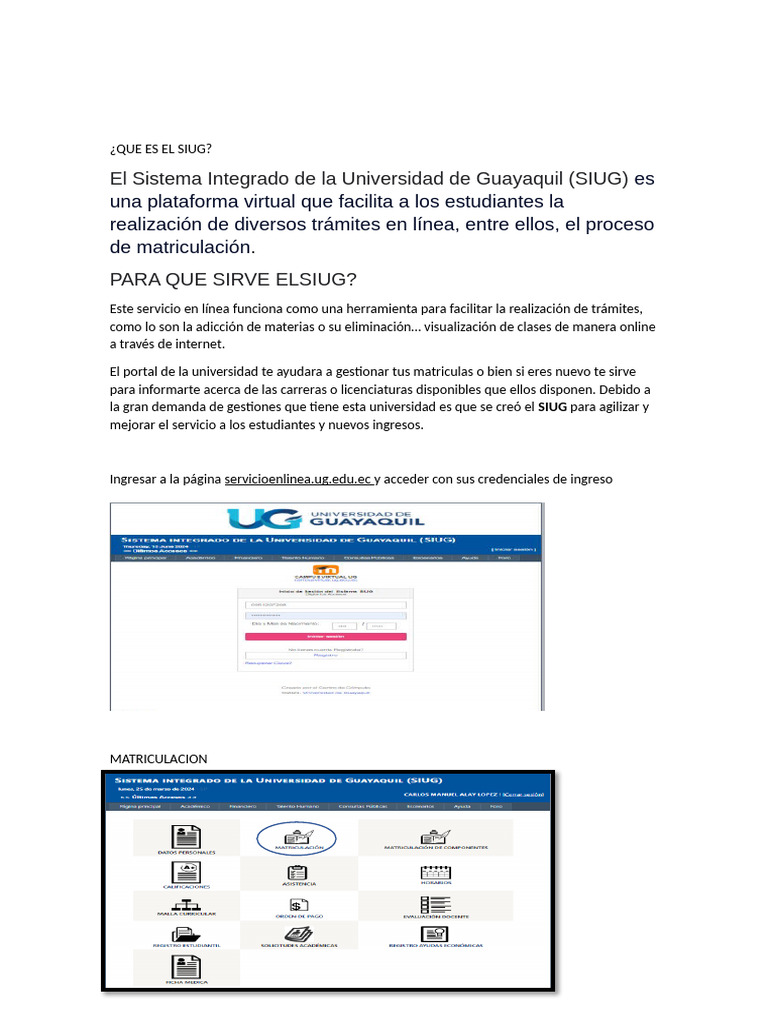Que Es El Siug | PDF