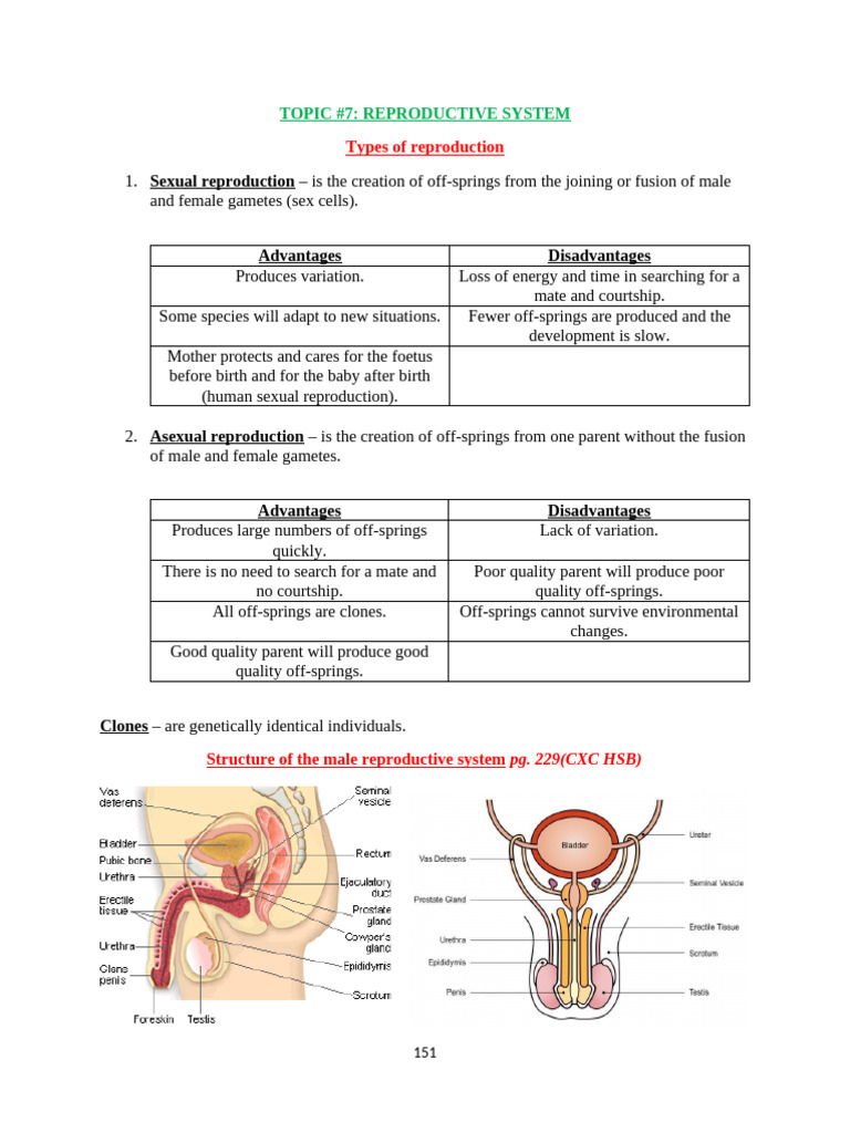 HSB_Section_B_Topic_7_Reproduction-EFC97 | PDF | Menstrual Cycle | Reproductive System
