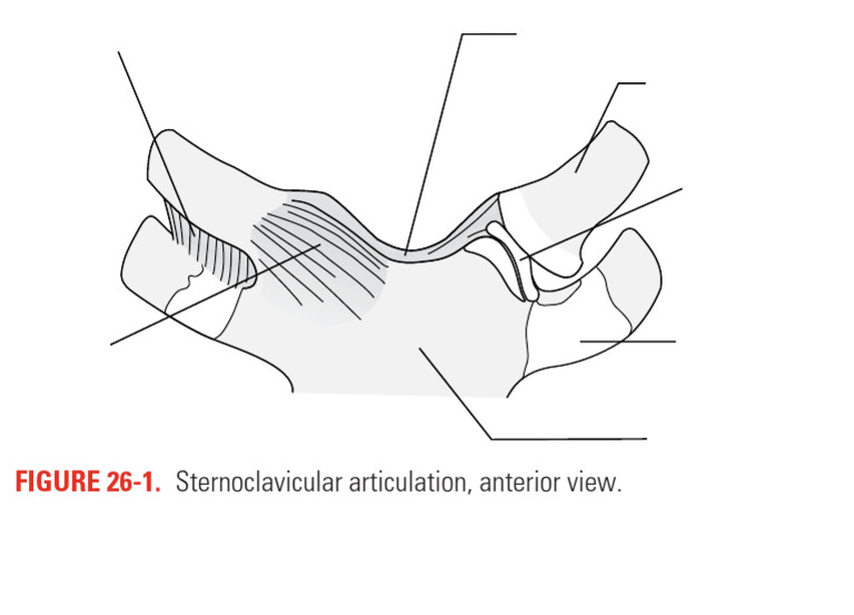 0350 CH 26-Fig1 | PDF