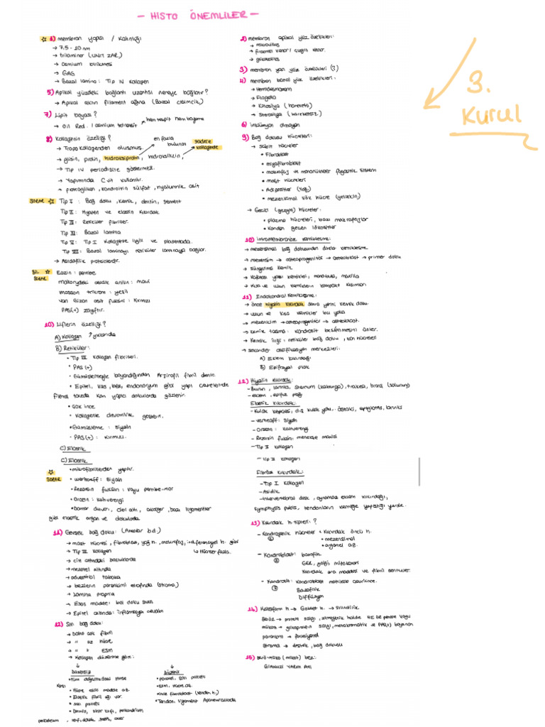 Histo 3 Kurul Not - 240624 - 170115 | PDF