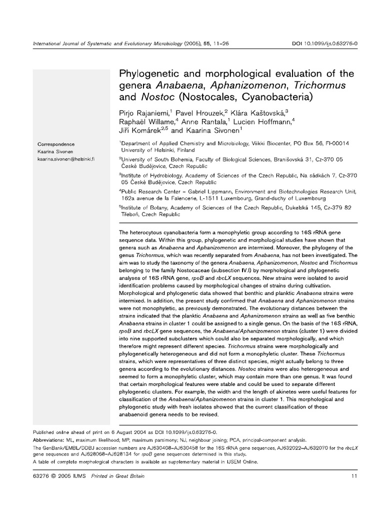 Phylogenetic and Morphol... Tocales, Cyanobacteria (Ok) | PDF