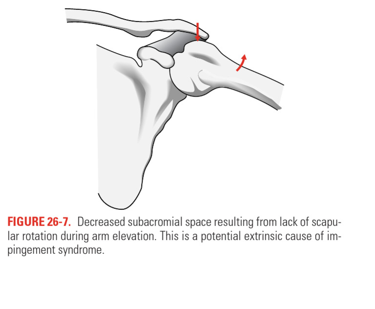 0350_ch_26-fig7 | PDF