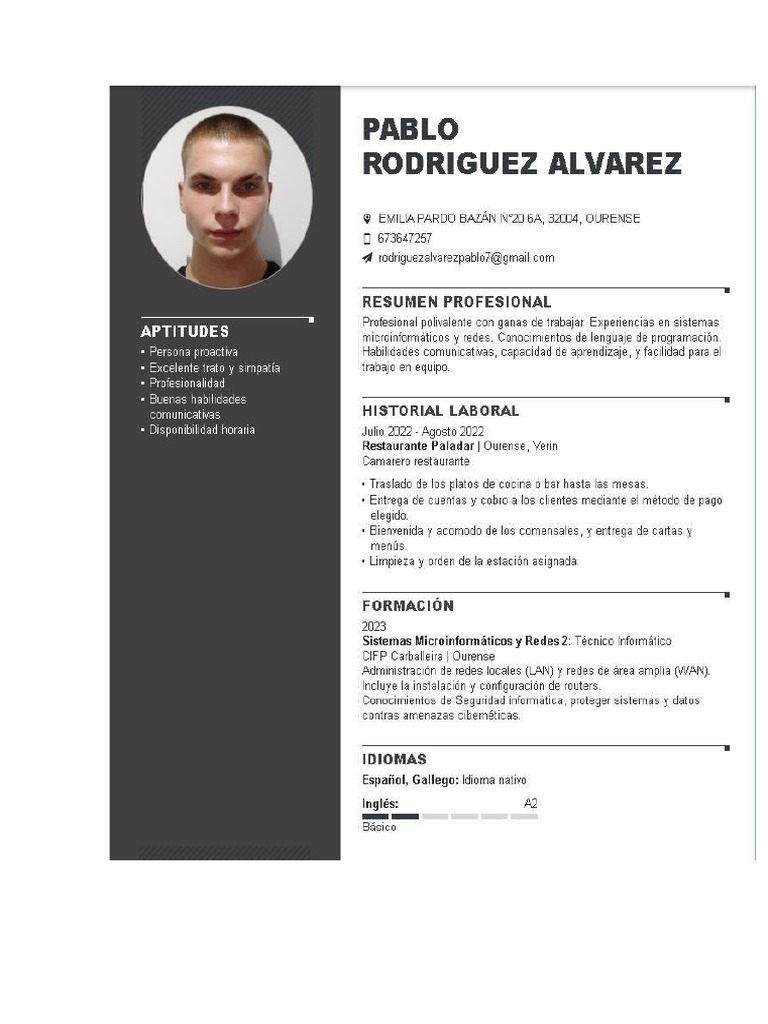 Curriculum-Pablo-Rodriguez | PDF