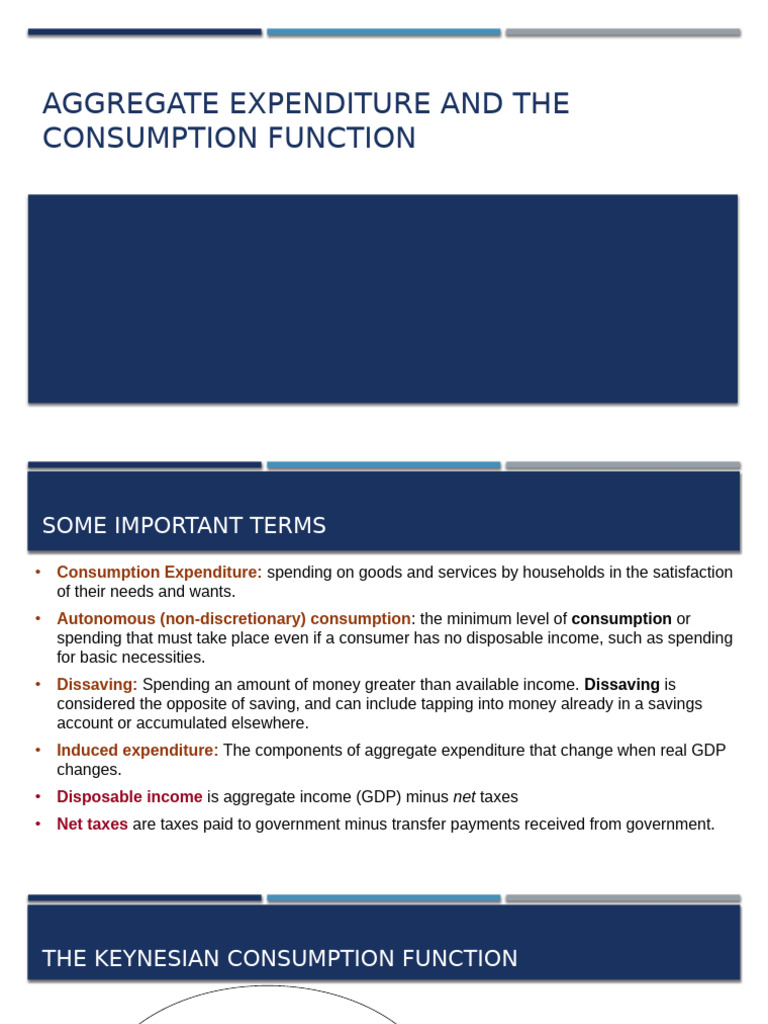 AE & the Consumption Function | PDF | Consumption (Economics) | Economies
