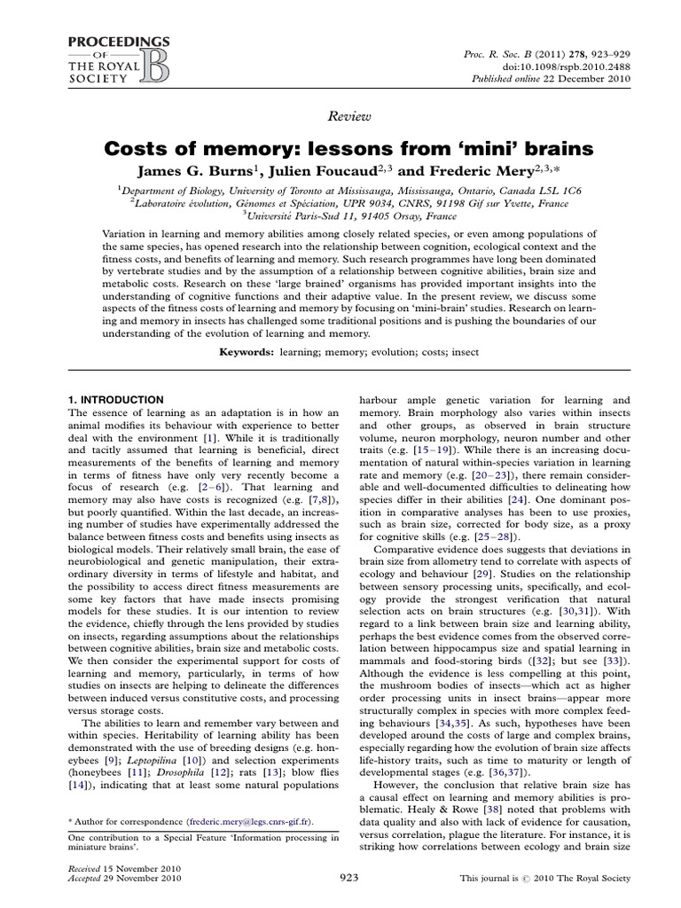 memory | PDF | Brain | Memory
