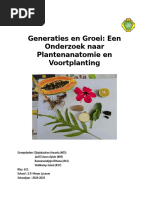 Practicum Sporeplanten en Zaadplanten 2024-2025 | PDF