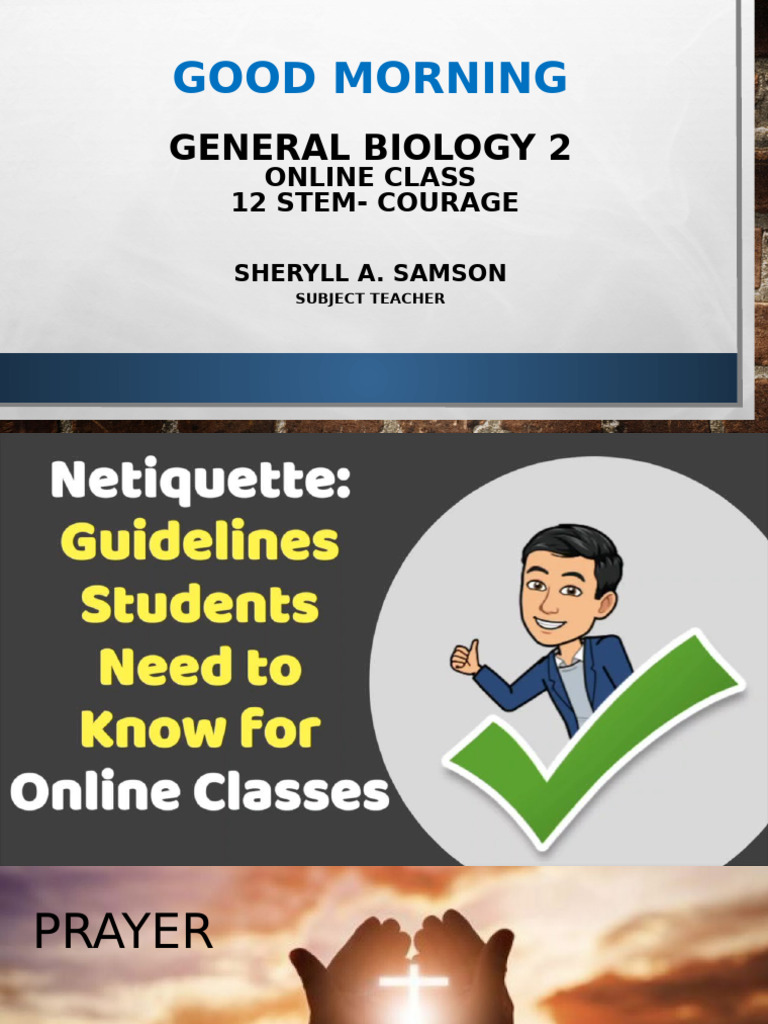 Mechanisms of Evolution Explained | PDF | Evolution | Mutation