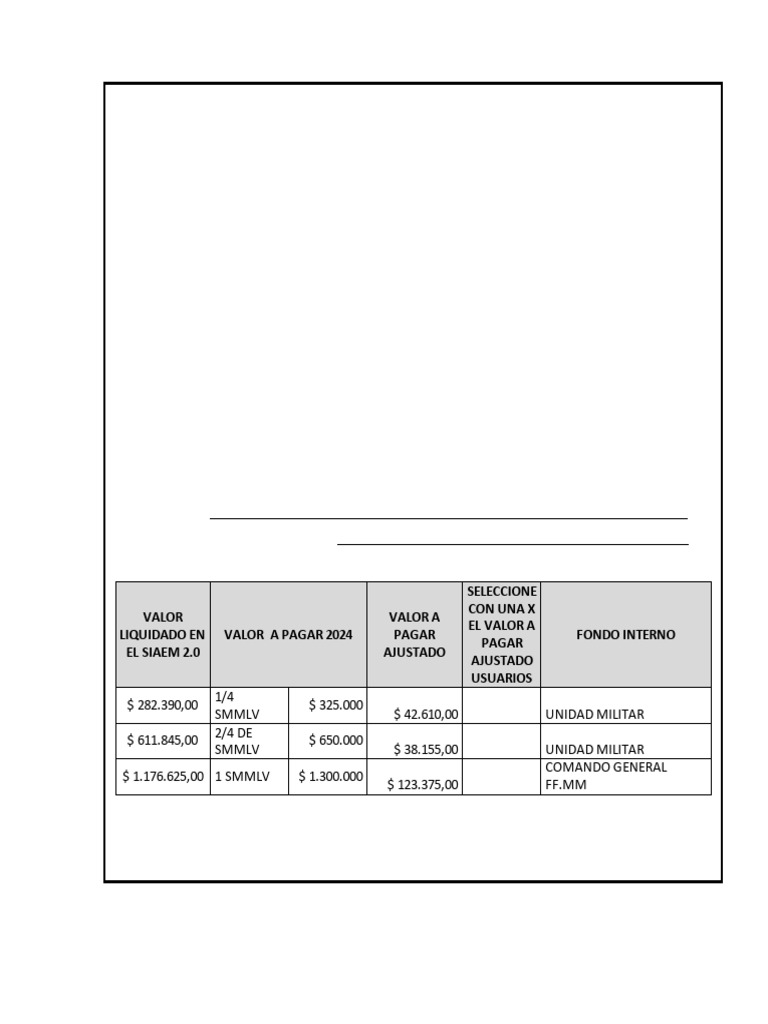Formato Valor Ajustado A Pagar Multas | PDF