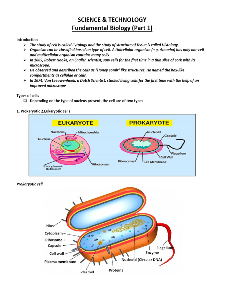 Science & Technology - Fundamental Biology (Part 1) | PDF | Endoplasmic ...