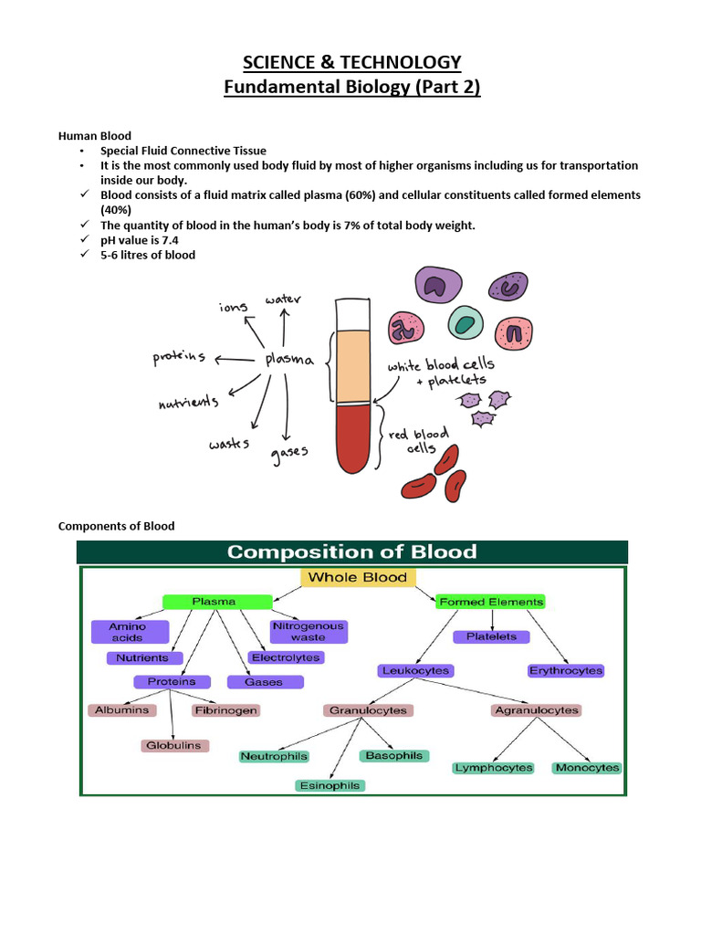 Science & Technology - Fundamental Biology (Part 2) | PDF | Lymphatic ...