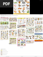 Animals Year 4 | PDF