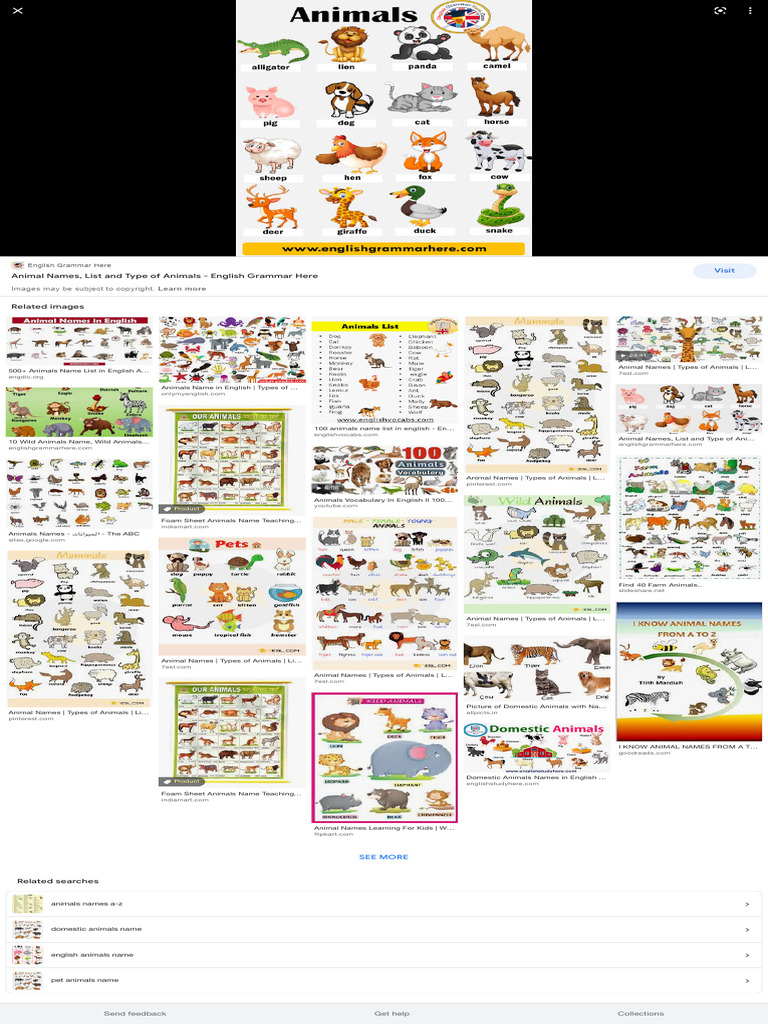 Searchq Names+of+Animals+in+One+Page&Rlz 1C9BKJA EnIN928IN929&Hl en-In ...