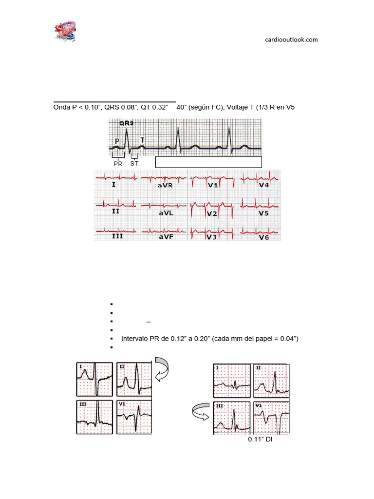 0. EL ABC DEL ECG | PDF | Sistema cardiovascular | Corazón