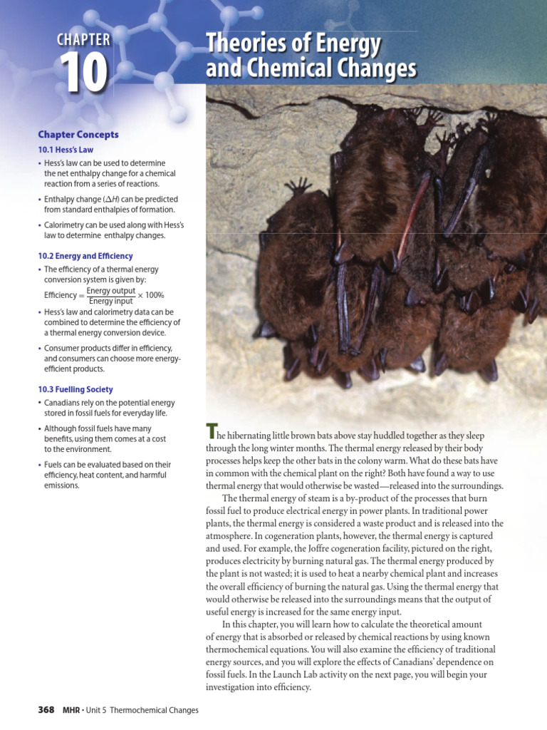 10 Phillips Ch10 | PDF | Stoichiometry | Chemical Reactions