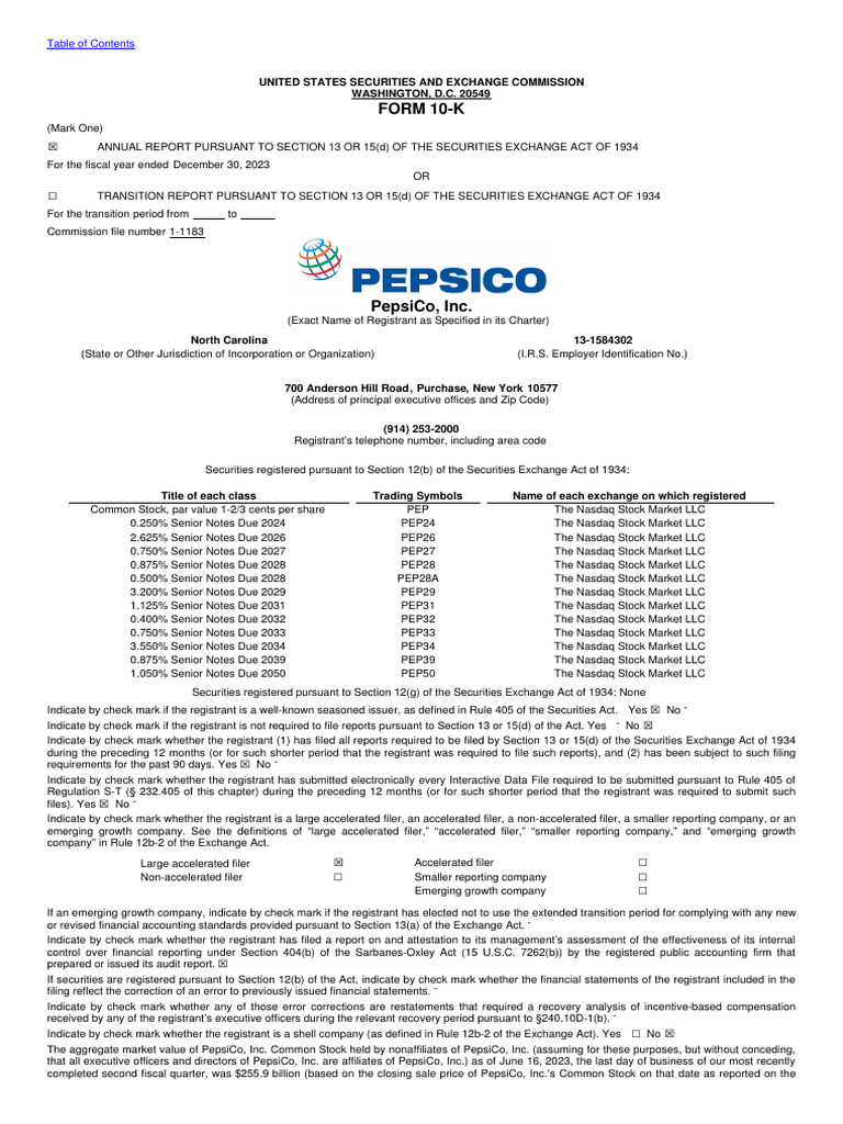 PepsiCo 2023 Annual Report Summary | PDF | Pepsi Co | Business
