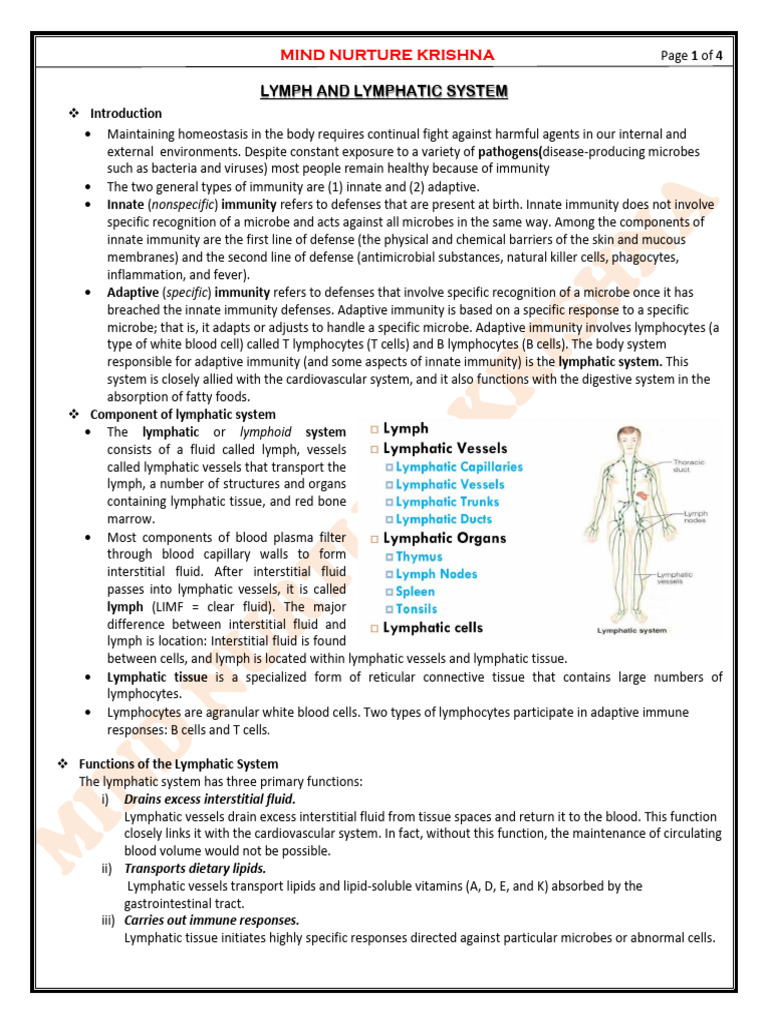 L-1 Lymph and Lymphatic System (2) | PDF | Lymph | Lymphatic System