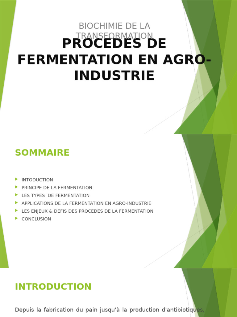 Procede de Fermentation | PDF | Fermentation | Levure